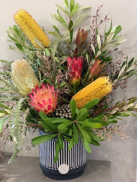 Native Beauty | FLOWER TRAIL WARRNAMBOOL